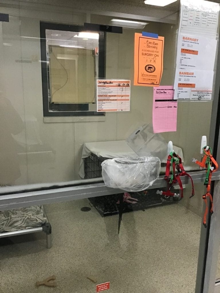 Back to Shelter Profiles