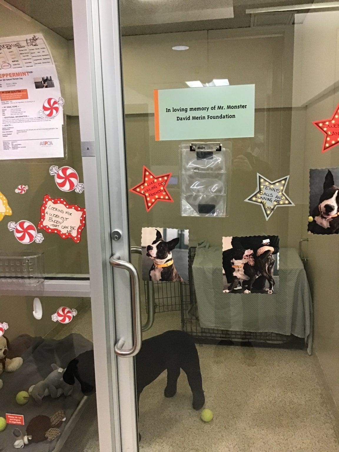 Back to Shelter Profiles