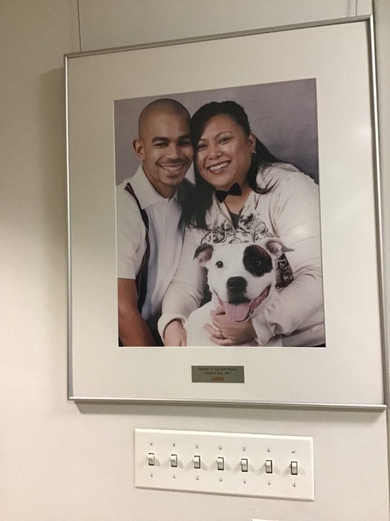 Back to Shelter Profiles